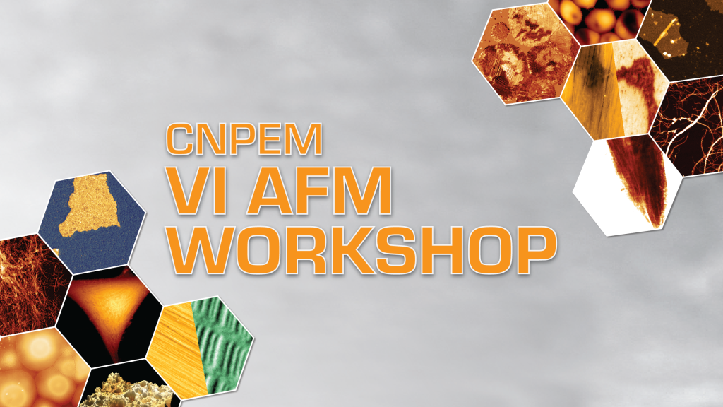 CNPEM VI AFM Workshop - LNNano