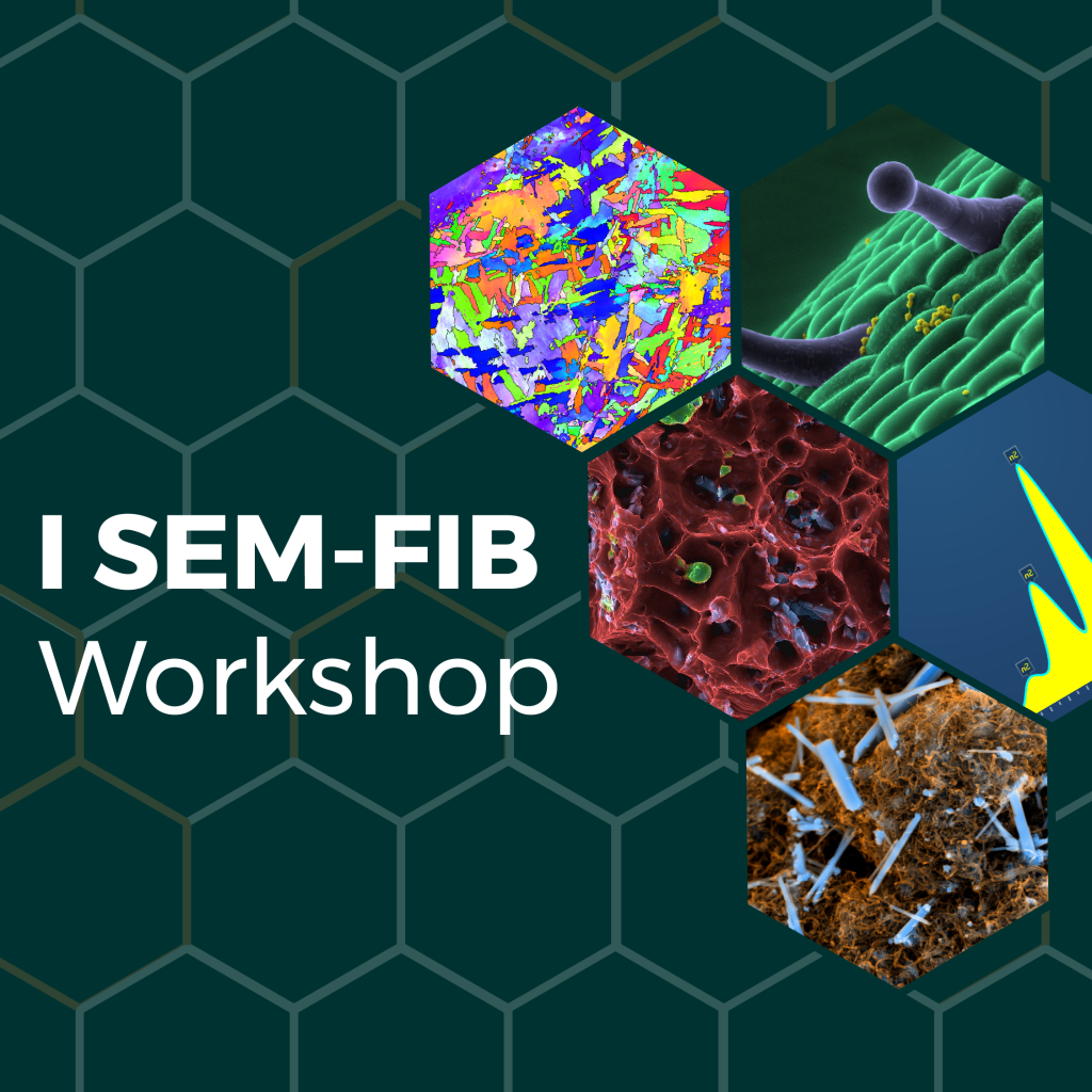 I SEM-FIB Workshop - LNNano