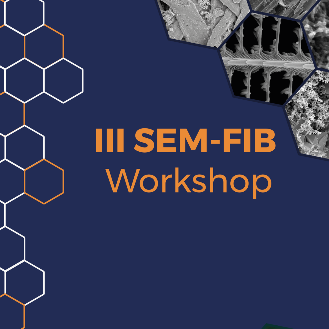 III SEM-FIB Workshop - LNNano